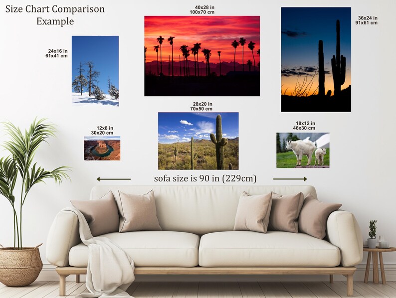 Creosote Bush Sunset Silhouette, Fine Art Giclée Print - Etsy