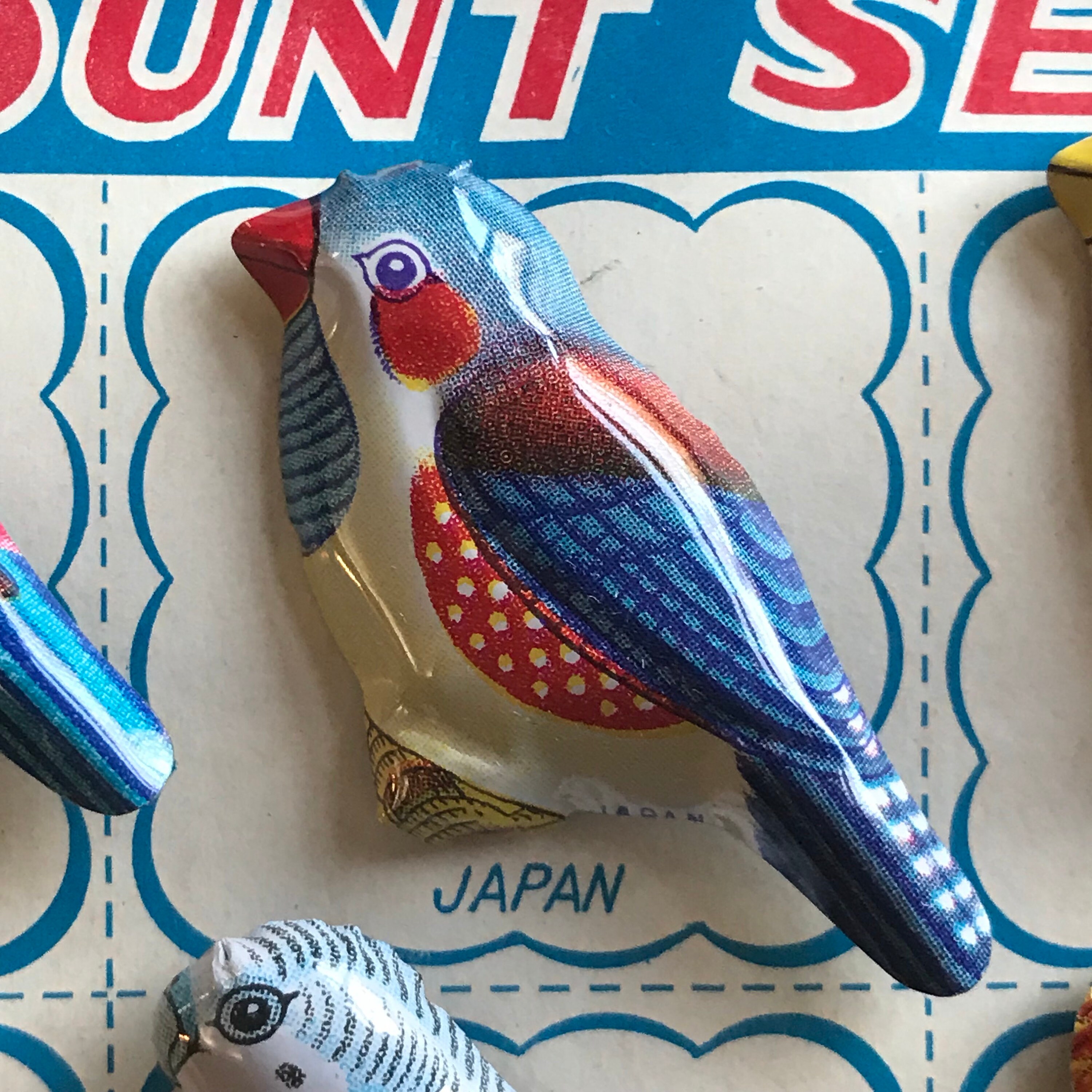Tin Litho Bird Pins Complete Set Display Card Kashiwai | Etsy