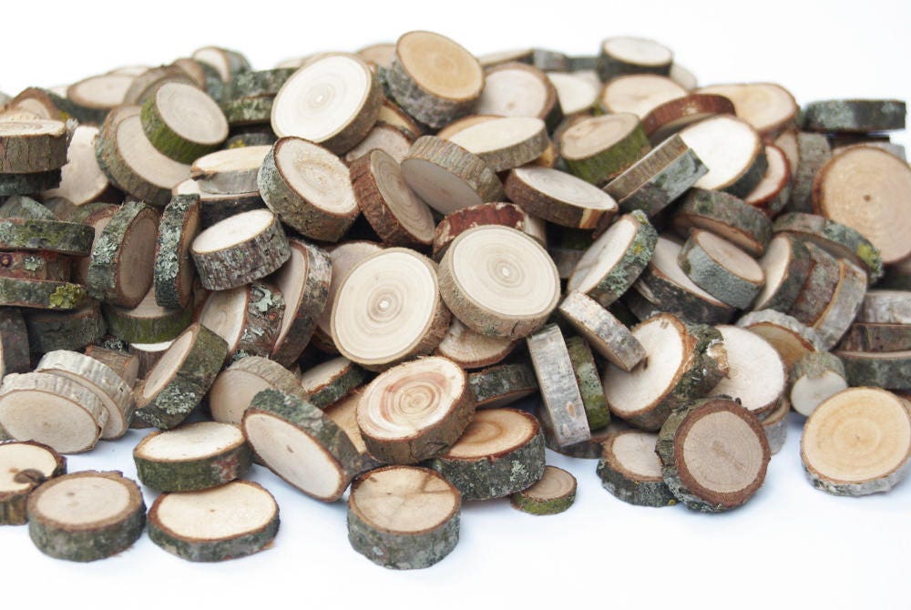25mm slices 100 Quality wood Small Tree Slices Circles | Etsy