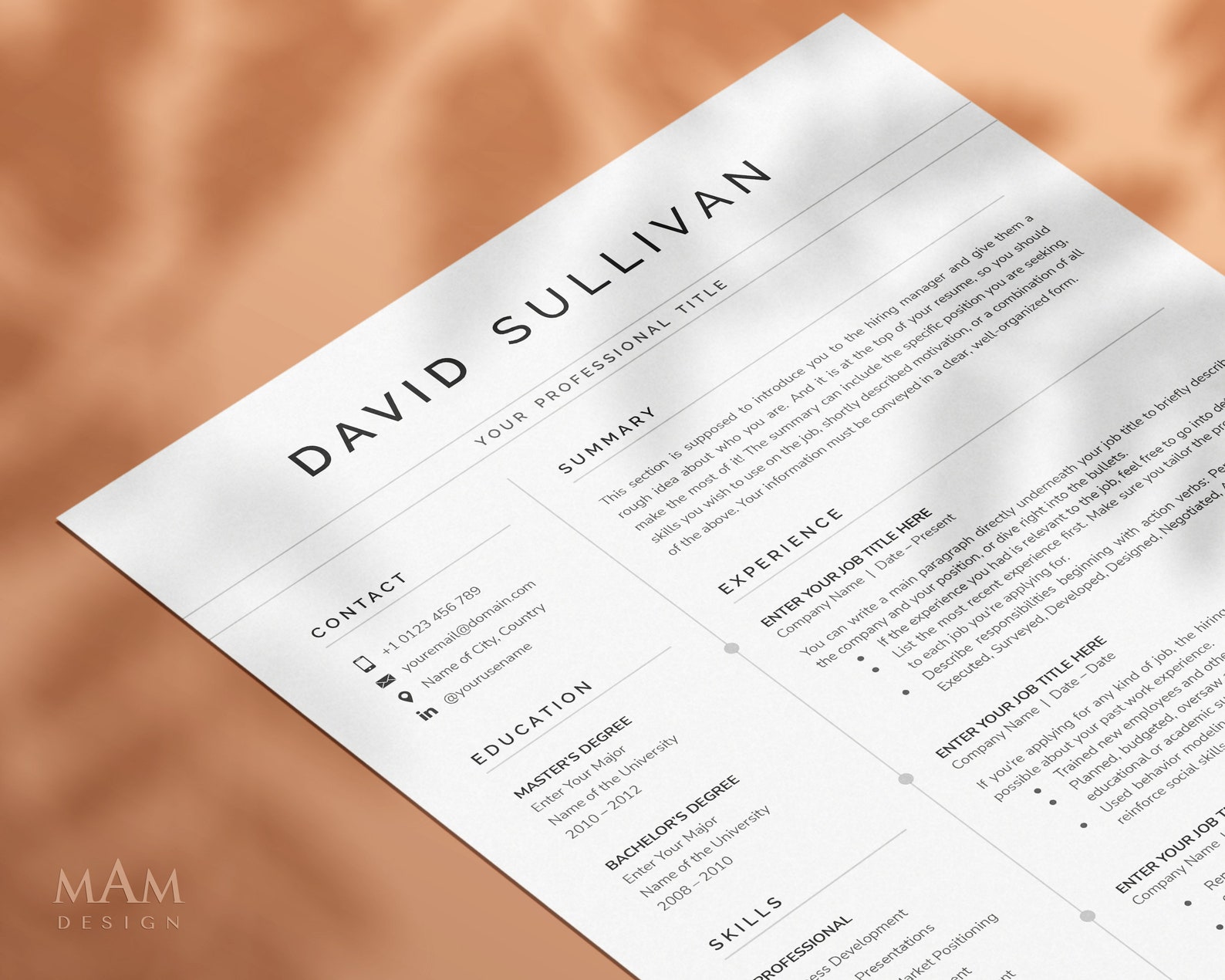 Resume Template, Google Docs Resume, Professional Resume Template for ...
