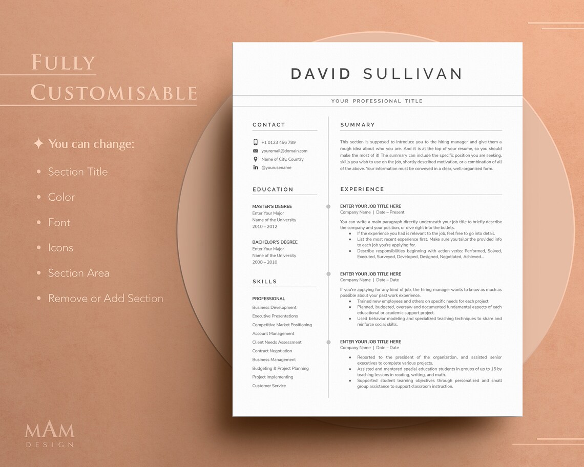 Resume Template, Google Docs Resume, Professional Resume Template for ...