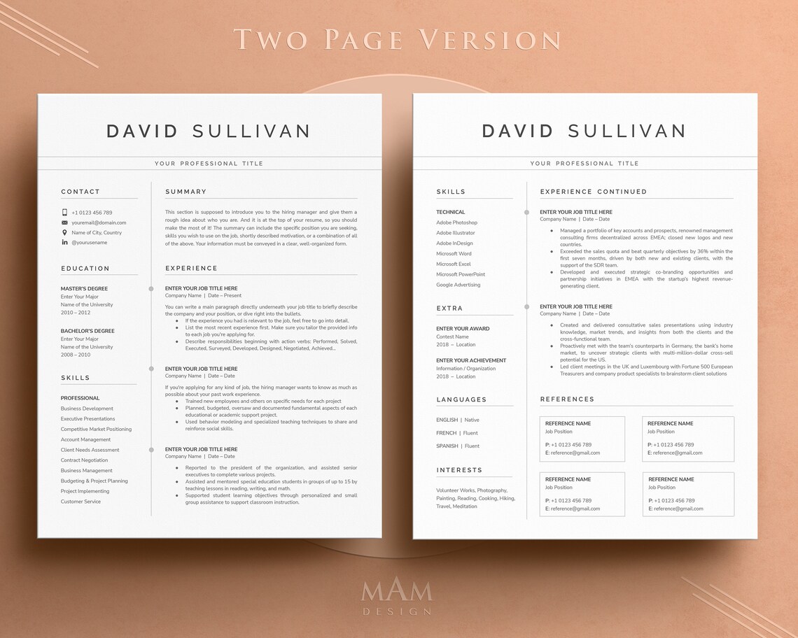 Resume Template, Google Docs Resume, Professional Resume Template for ...