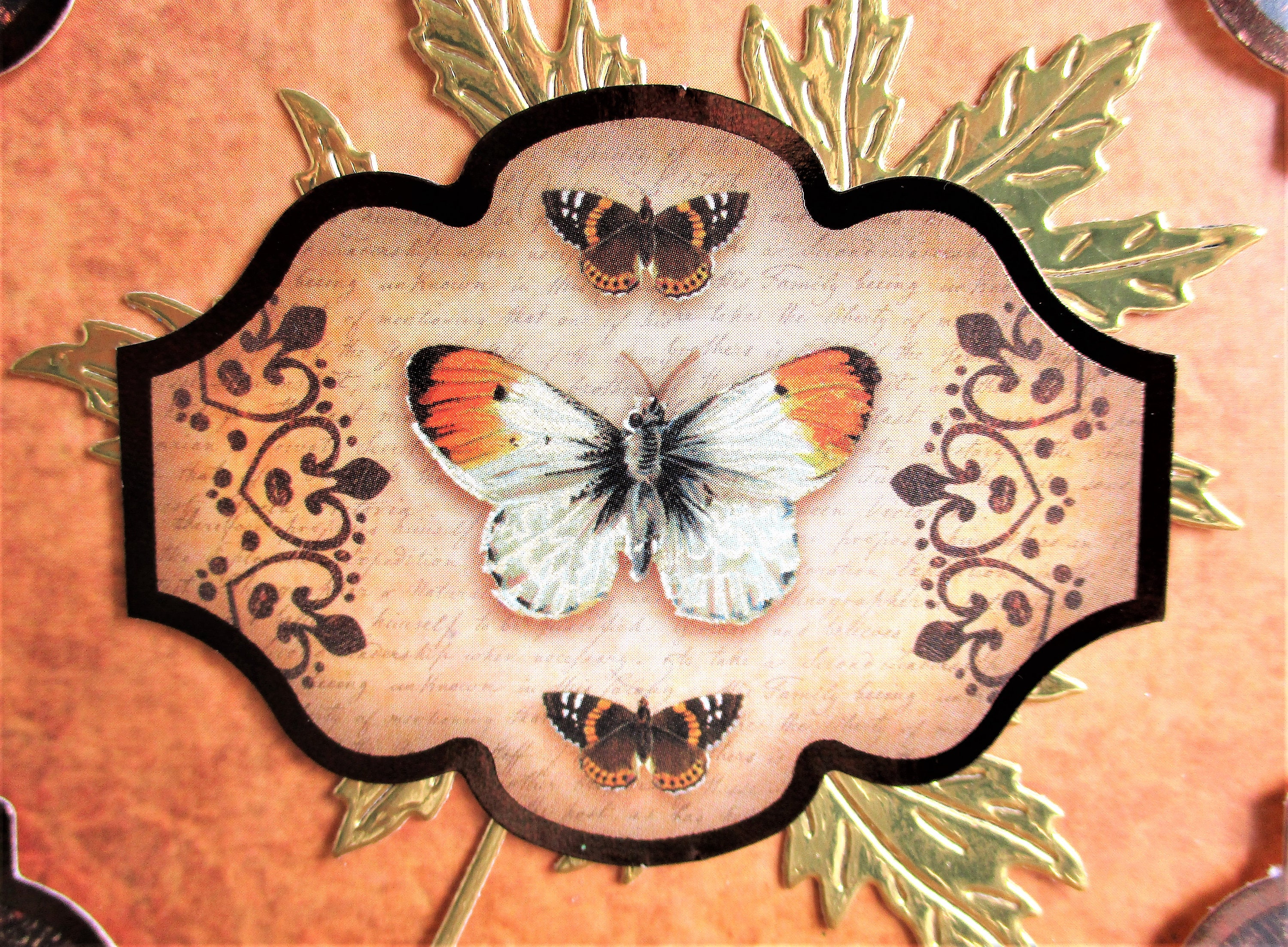 Congratulations Butterfly Card - Etsy