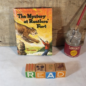 The Mystery at Rustlers' Fort - A Troy Nesbit Mystery ~ Written by Troy ...