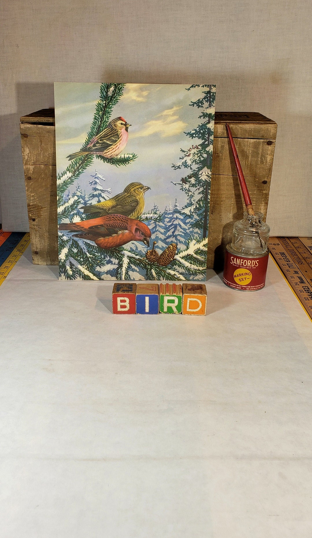 Original Vintage BIRDS Print ~ American Crossbill and Redpoll - 1930's ...