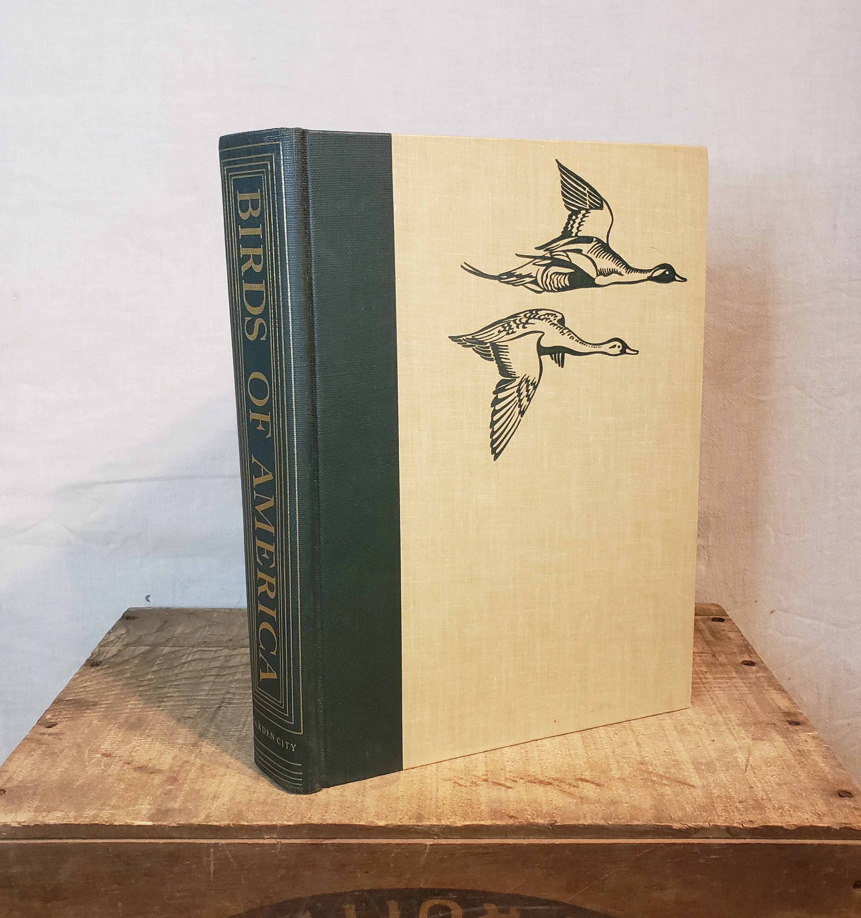 Birds Of America Edition 1936