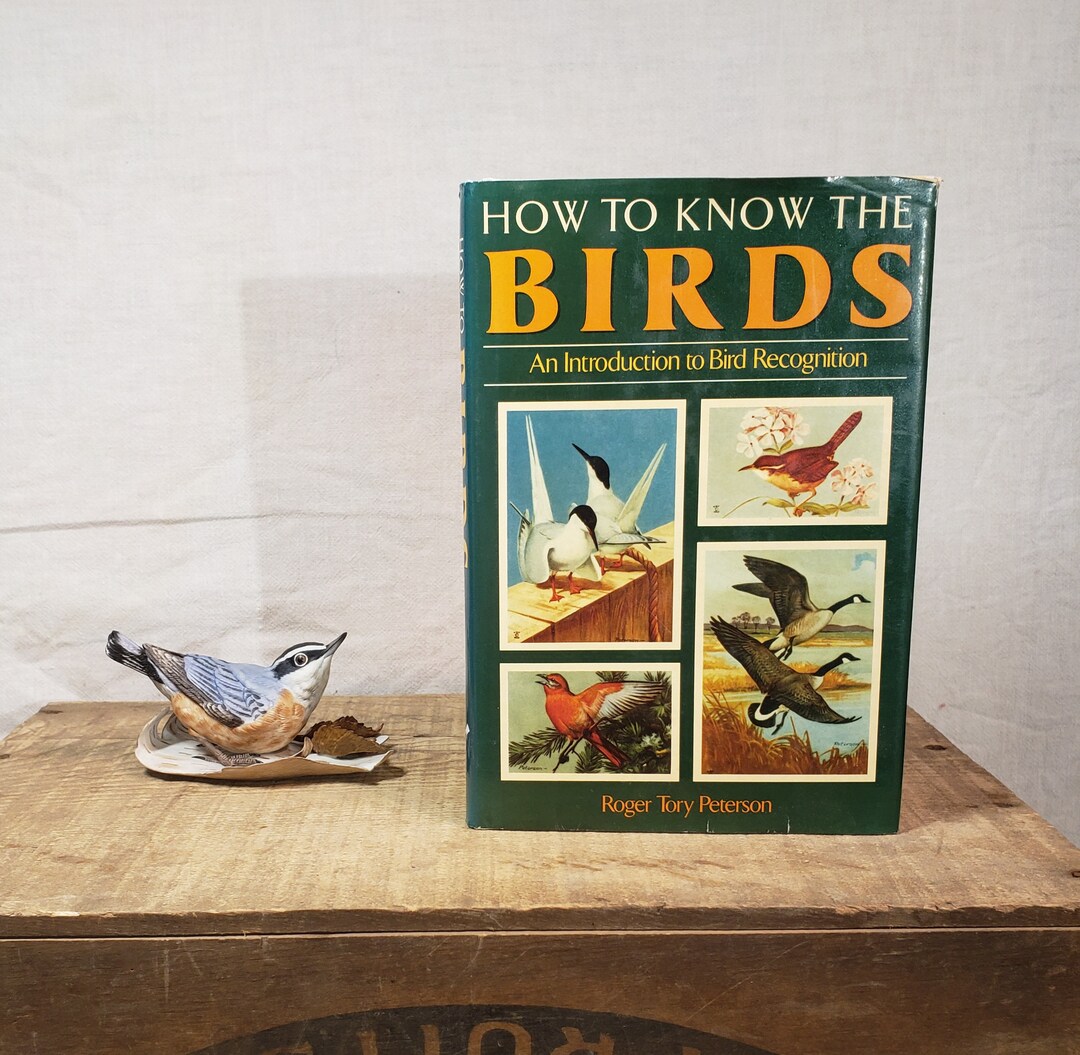 How to Know the Birds an Introduction to Bird Recognition Written by ...