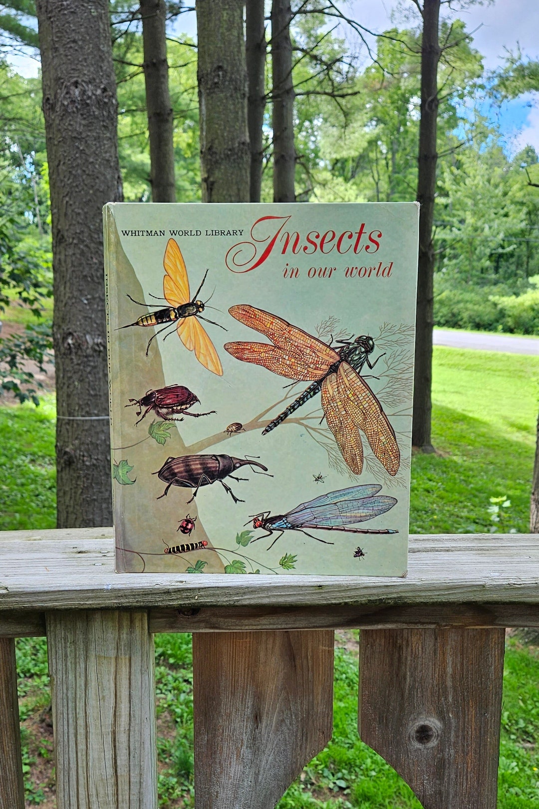 Insects in Our World - A Whitman World Library Book ~ Written by R. D ...