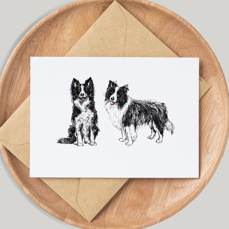 Collie Cards - Etsy