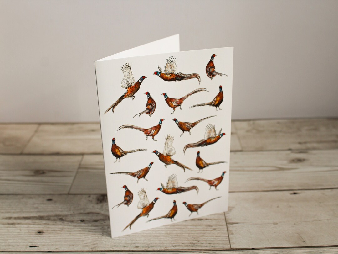 Pheasants Bird Card Hand Drawn by Artist Gemma Keith Greetings Card ...