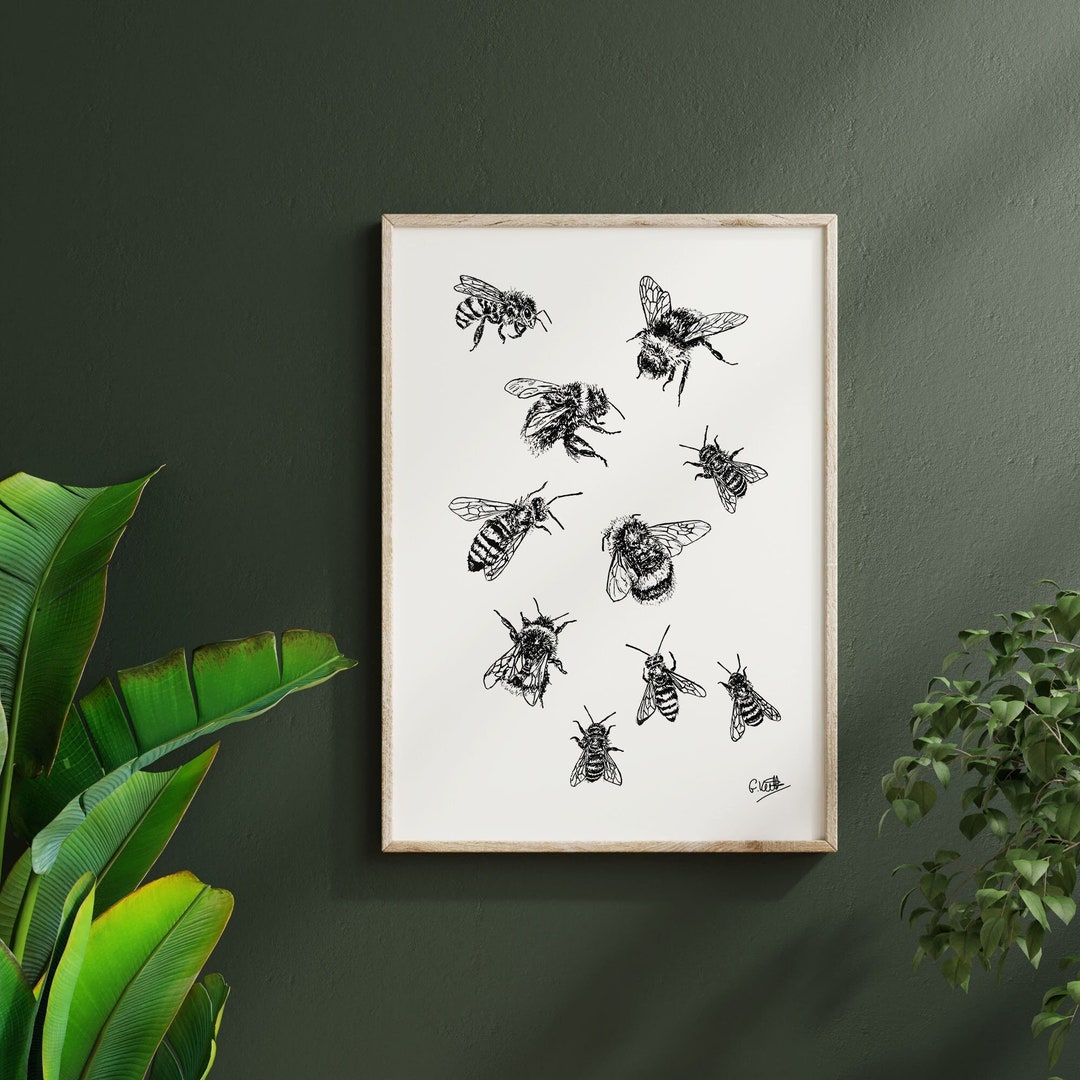 Bee Print Hand Drawn by Gemma Keith | A4 Print | Black and White Ink ...