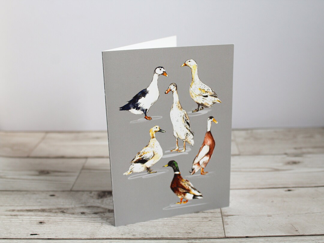 Ducks Card Hand Drawn Design - Etsy
