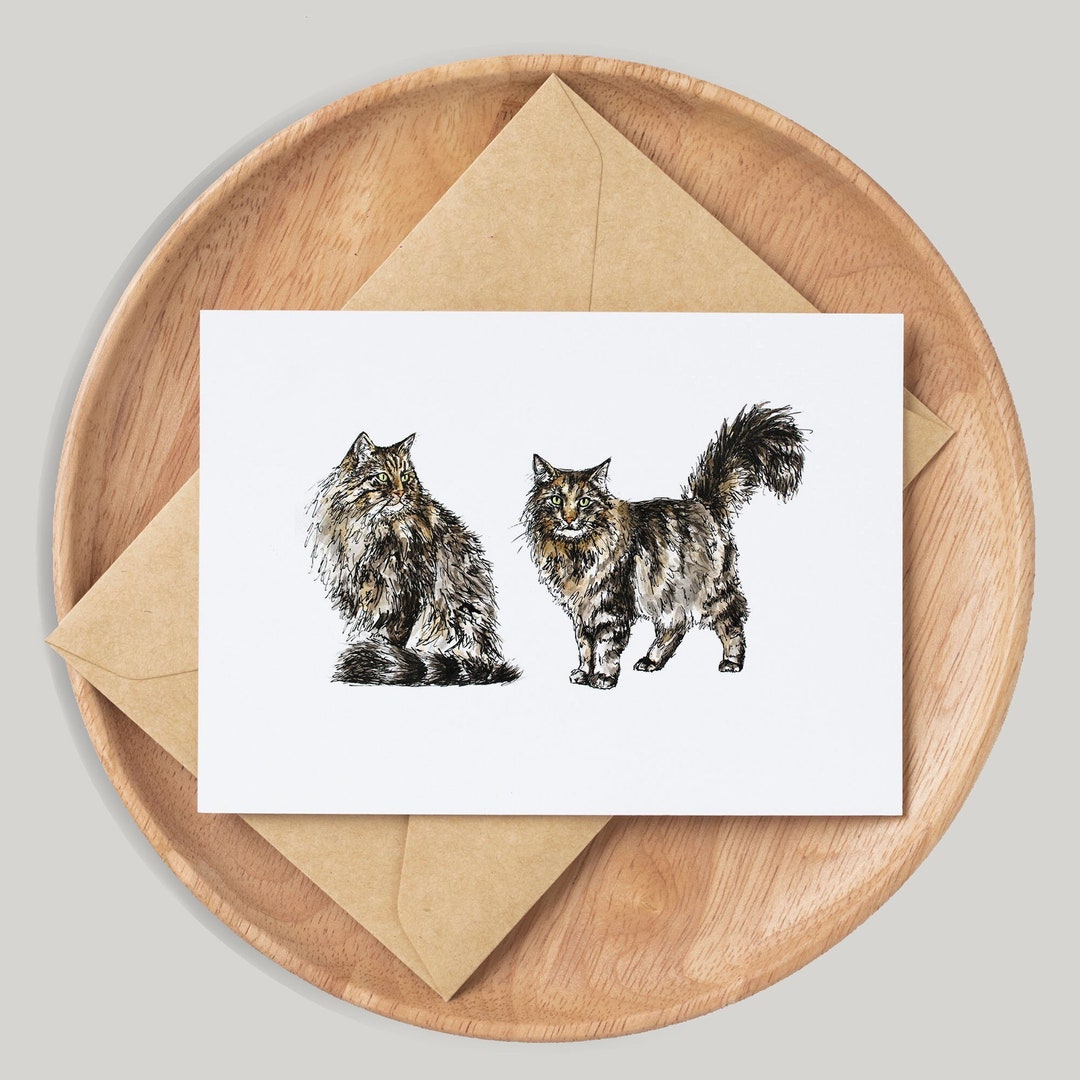 Maine Coon Cat Card - by Artist Gemma Keith - Personalised - Customised ...