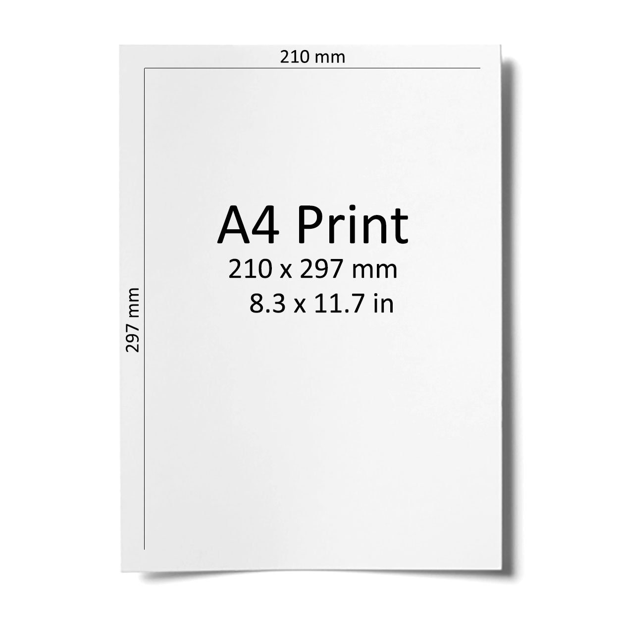 Hand Drawn Bee Print by Gemma Keith A4 Print Black and - Etsy UK