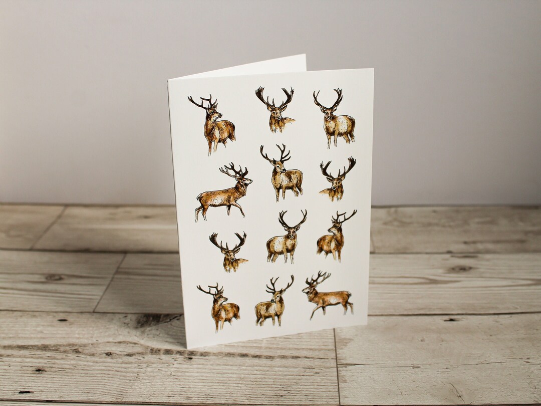 Stag, Deer Card Hand Drawn by Artist Gemma Keith Greetings Card ...