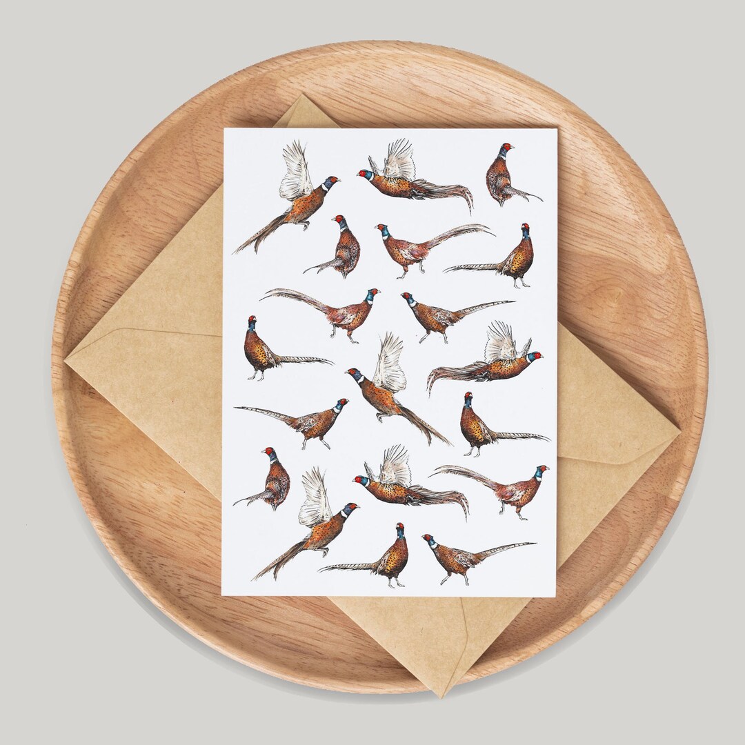 Pheasants Bird Card - Hand Drawn by Artist Gemma Keith - Greetings Card ...