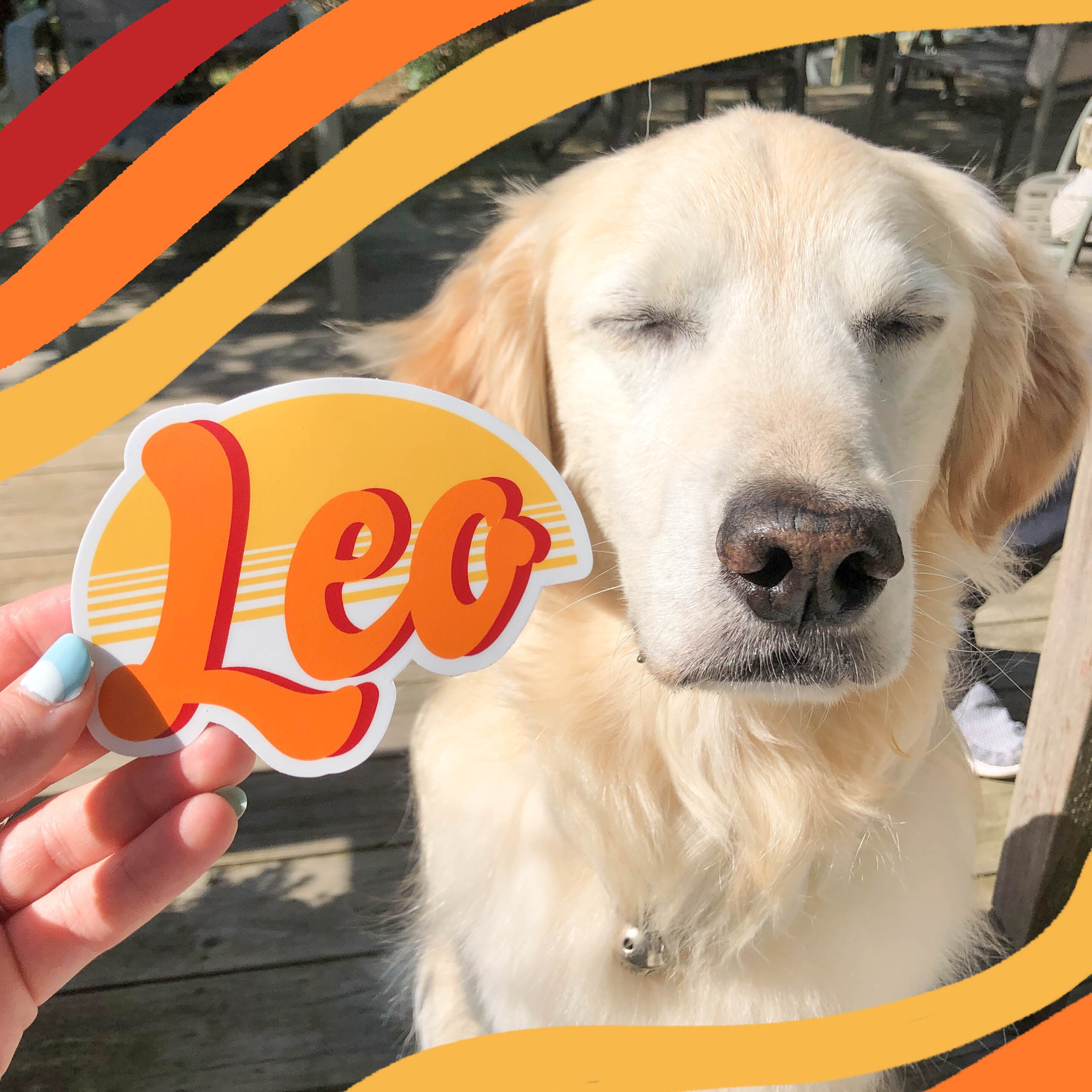 Leo Zodiac Sticker | Etsy