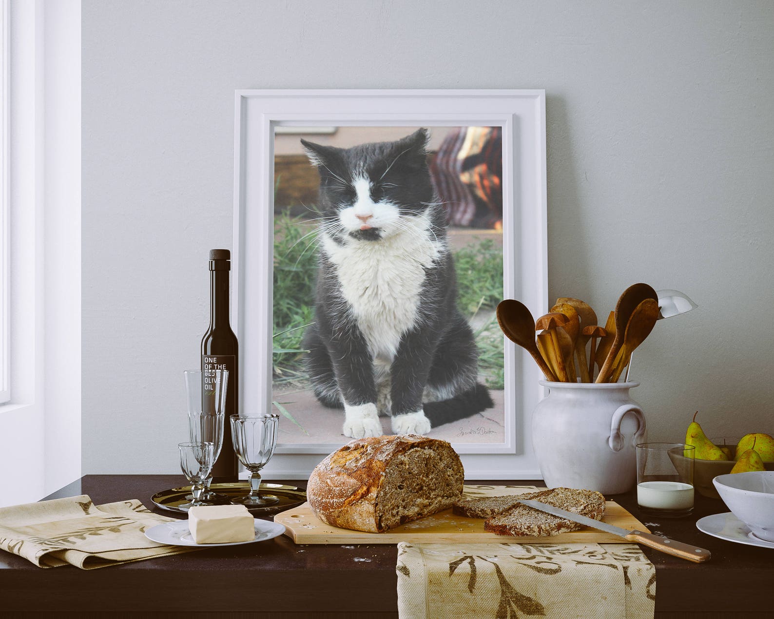 Feral Cat Photography, Color Photo, Veterinary Art, Wall Art Print ...