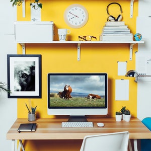 Cow Photo, Printable Cow Note Cards, Wall Art, Cow Art, Instant ...