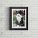 Feral Cat Photography, Color Photo, Veterinary Art, Wall Art Print ...