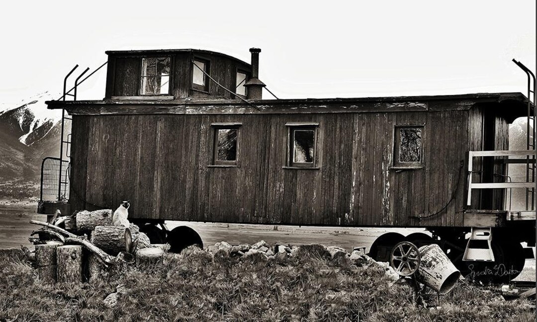 Photo of Siamese Cat With Old Caboose in Colorado Mountains, Cat and ...
