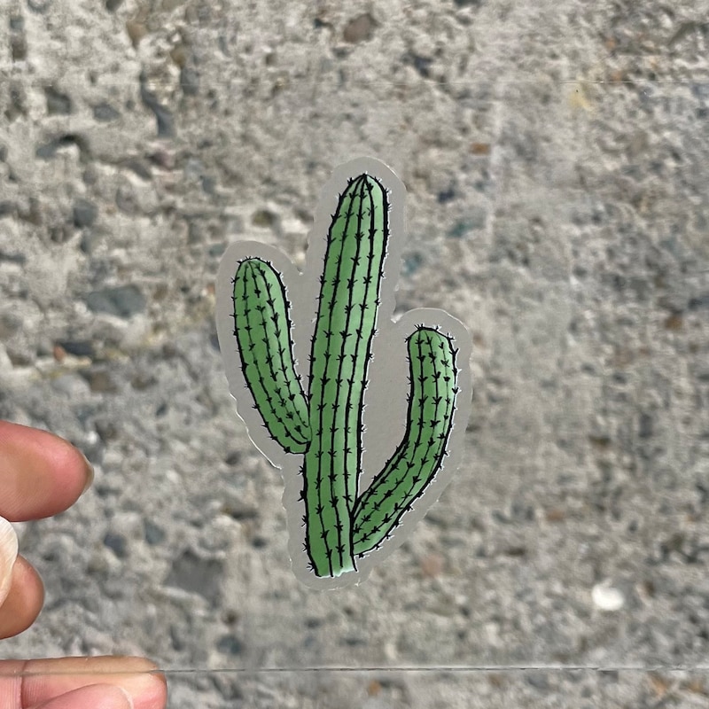 Cactus Stickers - Etsy