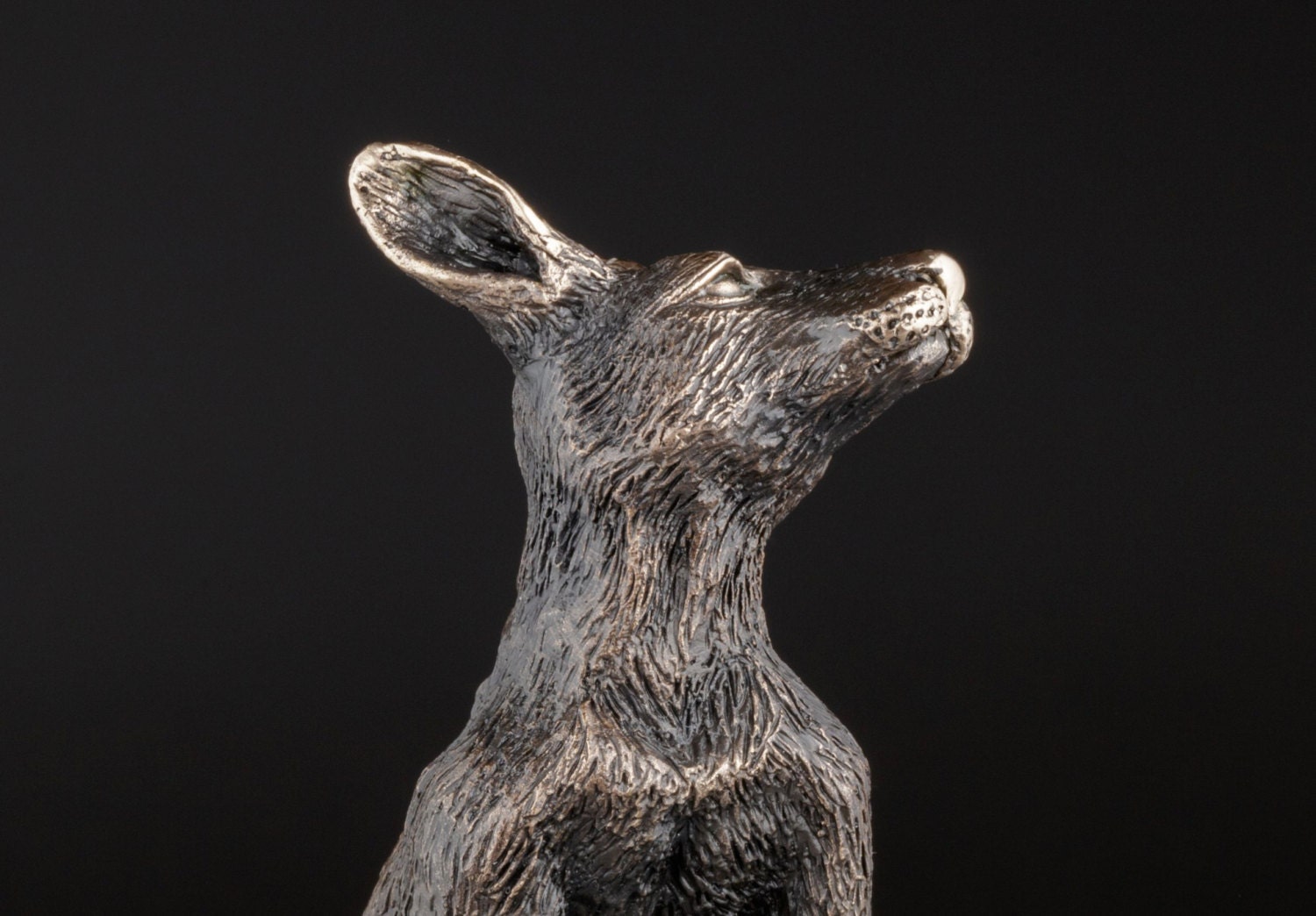 KANGAROO BRONZE SCULPTURE, Australian Animals, Australian Gif ...