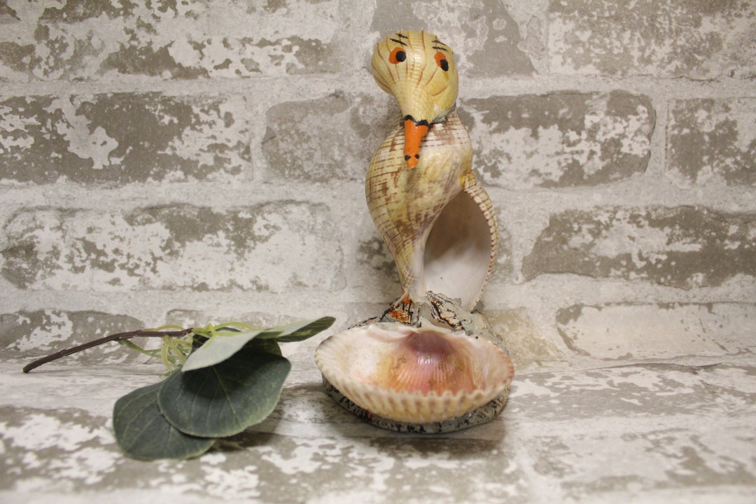 1970's SEASHELL ART FIGURINE Dish, Ugly Art, Mcm Shell Dish, Soap Dish ...