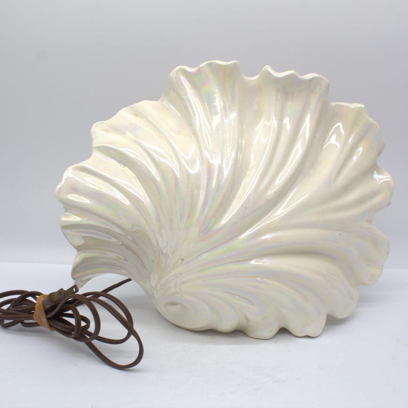 Conch Shell Lamp - Etsy