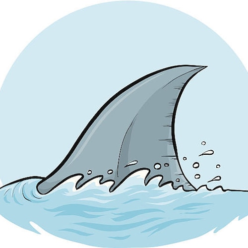 SharkFinSwimsuits - Etsy