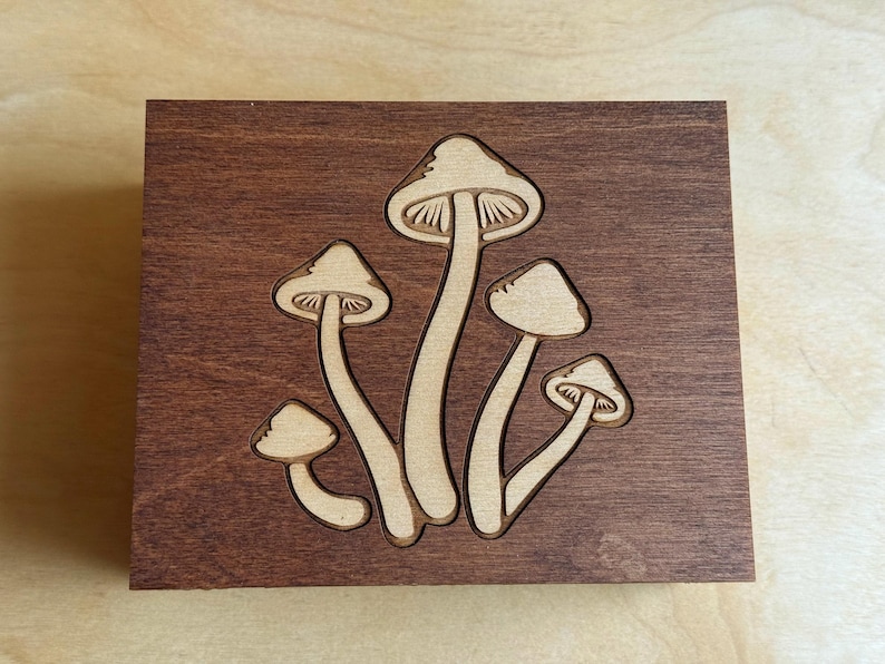 Magic Mushroom 2 Jar Stash Box - Etsy