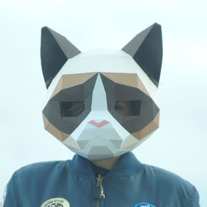 Grumpy Cat Mask,diy Animal Head,pdf Download,paper Mask,helmet,3d ...