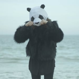 Make Panda Mask,diy 3D Mask,pdf,pattern Mask,polygon Paper Mask ...