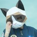 Grumpy Cat Mask,diy Animal Head,pdf Download,paper Mask,helmet,3d ...