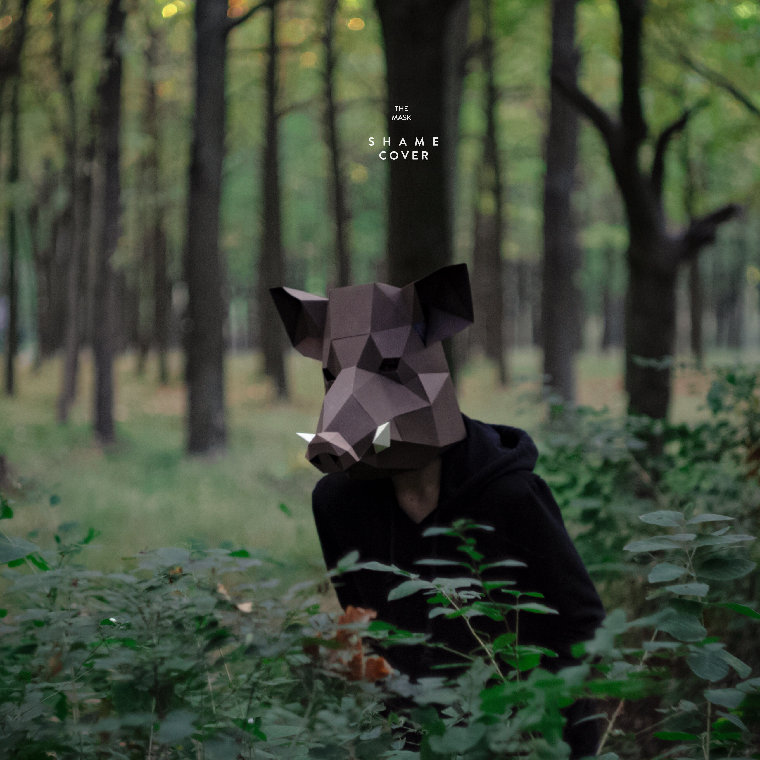 Make Boar Face Maskpolygon Maskpdfwild Boardiy Paperface - Etsy