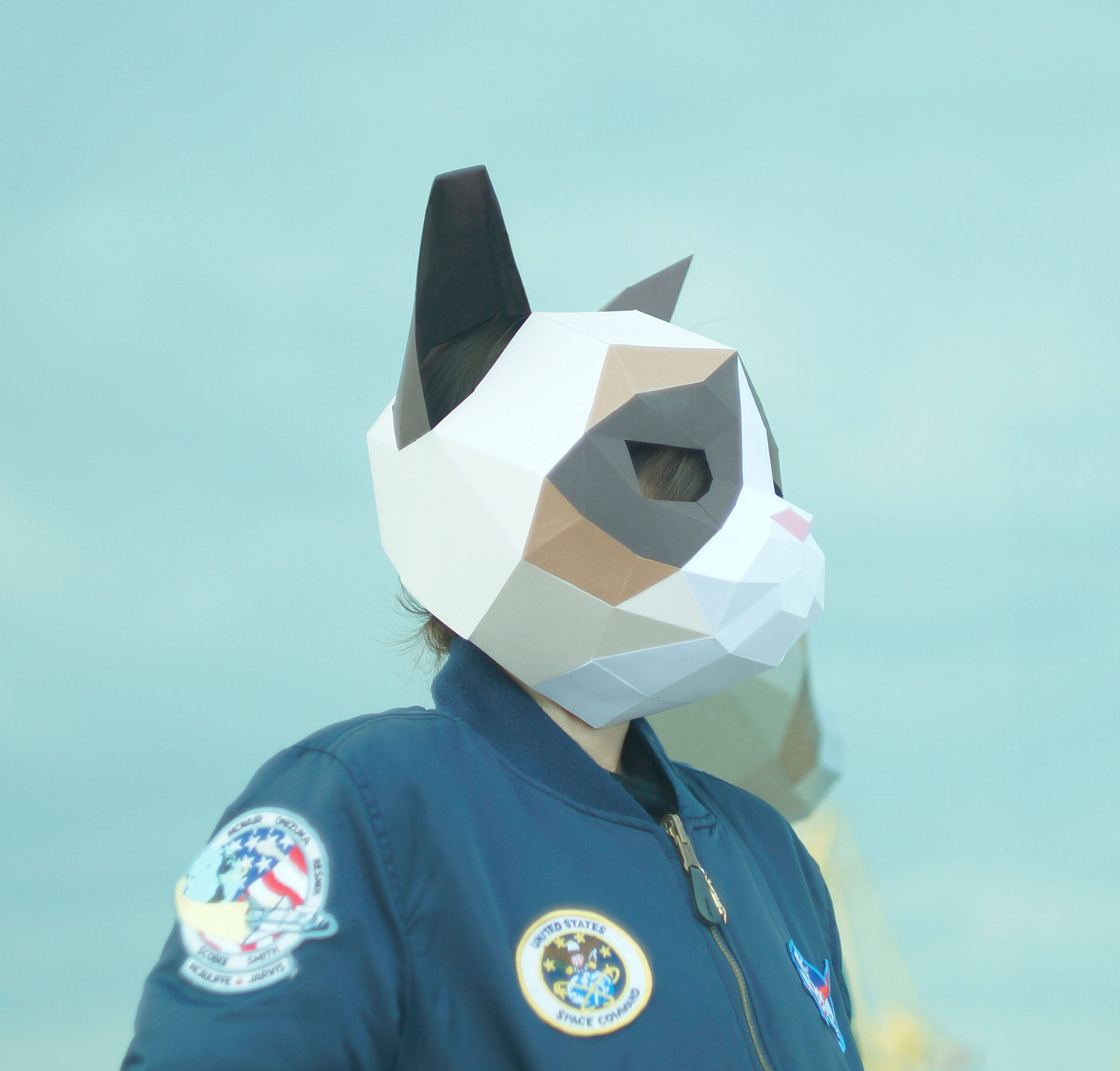 Grumpy Cat Blank Template