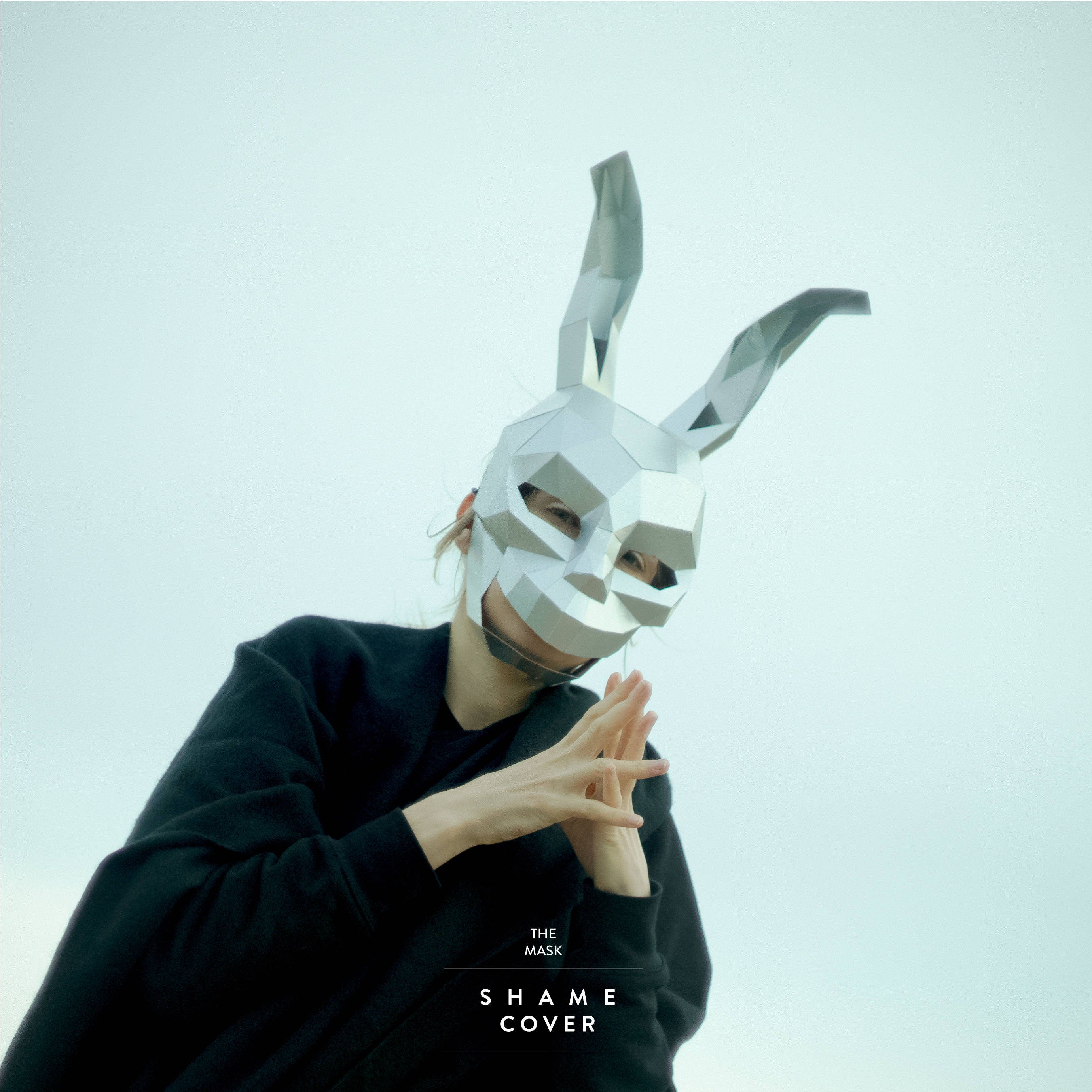 Donnie Darko Frank Mask