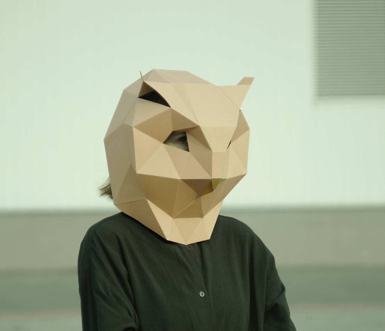 Owl Maskdiy Headinstant Pdf Downloadbird Maskpaper - Etsy