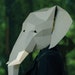 Elephant Mask, DIY Papercraft Template, Halloween Costume Accessory ...
