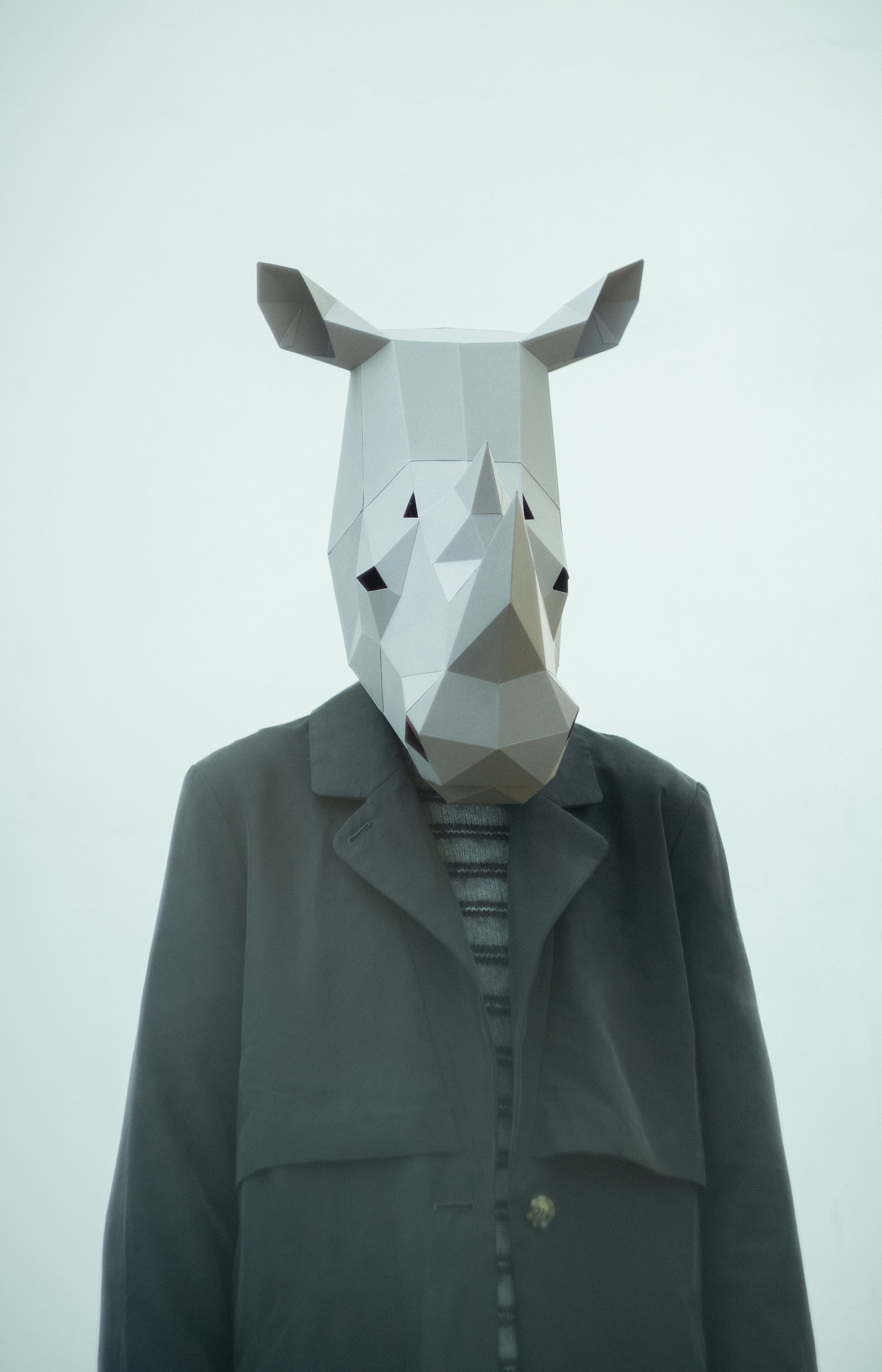 Rhino Mask, Paper Craft Template, Printable Rhinoceros, Mask, Instant ...