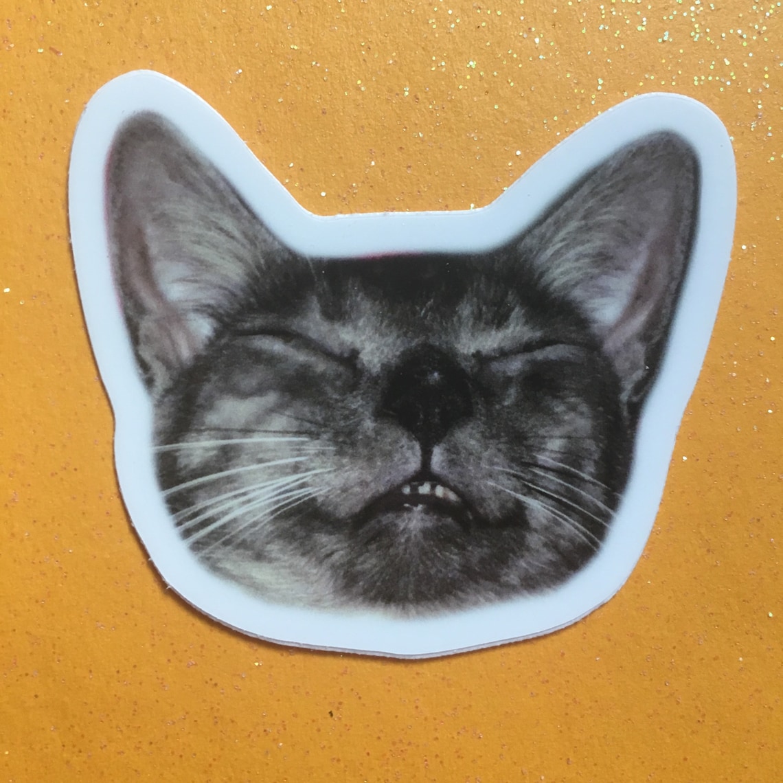 SMILING CAT Sticker Cool Sticker Bumper Sticker Water - Etsy