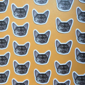 SMILING CAT Sticker, Cool Sticker, Bumper Sticker, Water Bottle Sticker ...