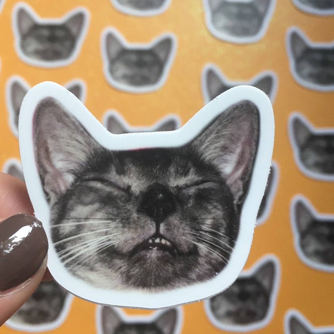 SMILING CAT Sticker, Cool Sticker, Bumper Sticker, Water Bottle Sticker ...