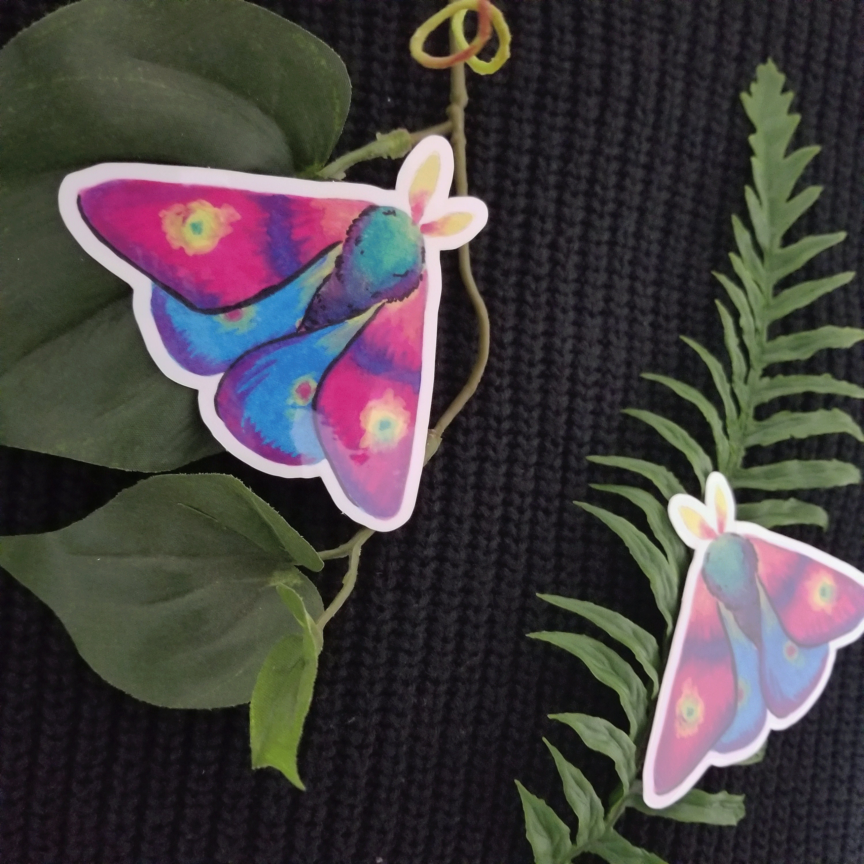 Rainbow Moth Vinyl Sticker Cute Laptop or Waterbottle Decal - Etsy