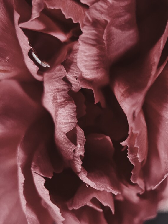 Yoni Flower Pictures