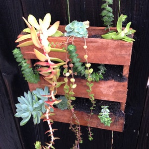 Pallet Planter Box mini 12x12 Inches - Etsy