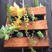 Pallet Planter Box mini 12x12 Inches - Etsy