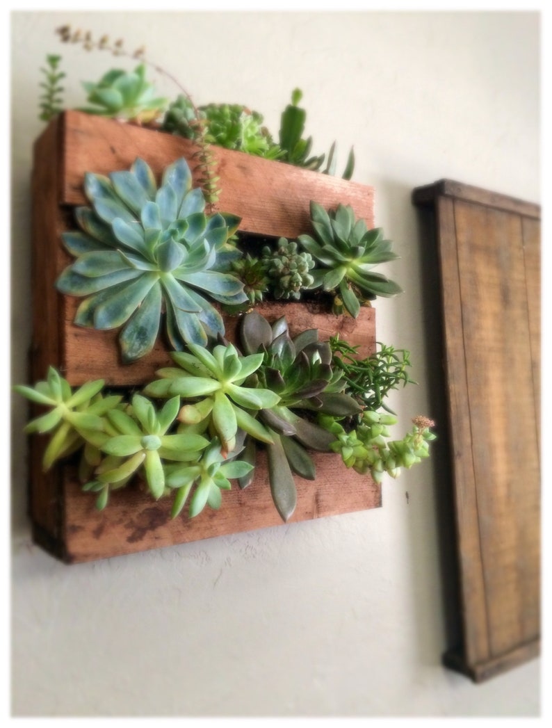 Pallet Planter Box mini 12x12 Inches - Etsy