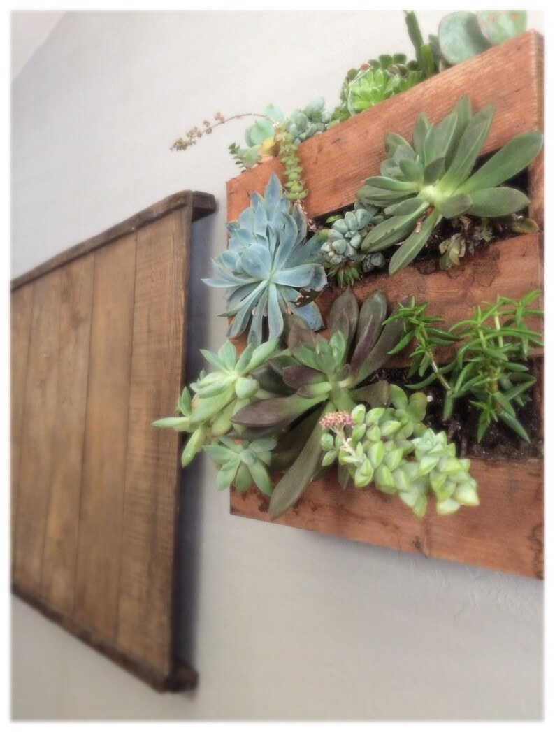 Pallet Planter Box mini 12x12 Inches - Etsy