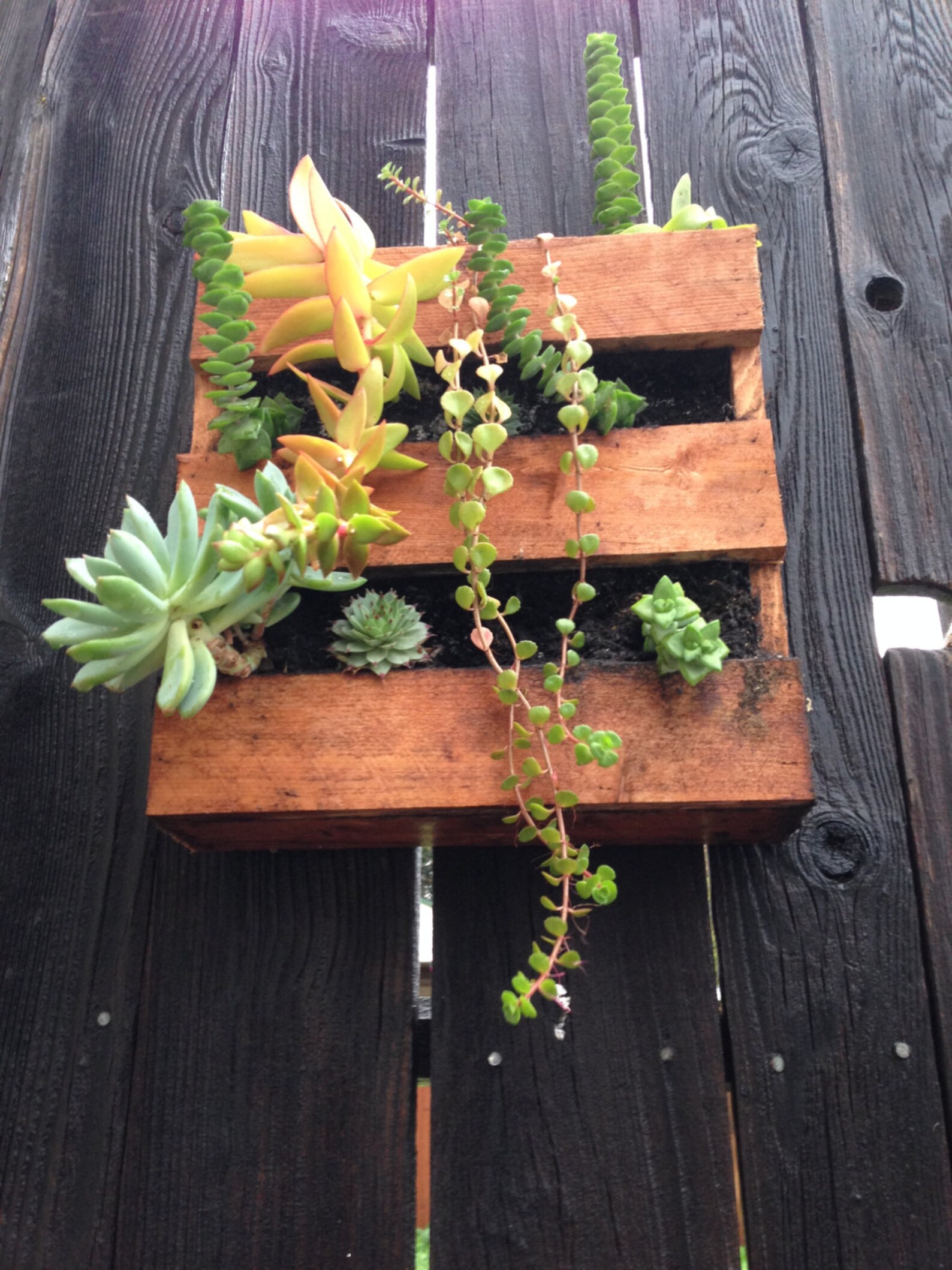 Pallet Planter Box mini 12x12 Inches - Etsy